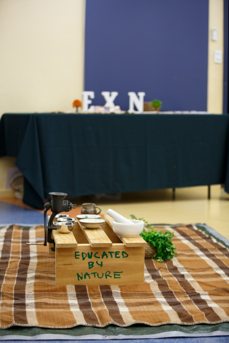 Nature-based Professional Learning - Educated by Nature