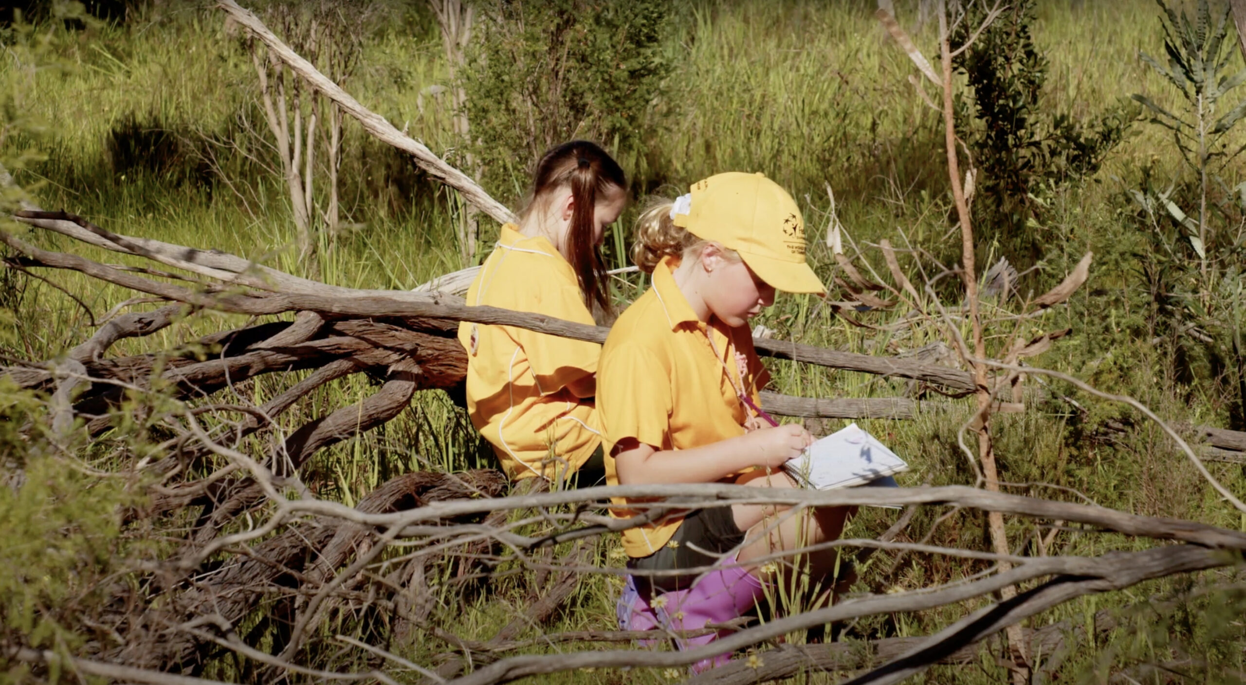 Nature Connection Series: Identity - Educated by Nature