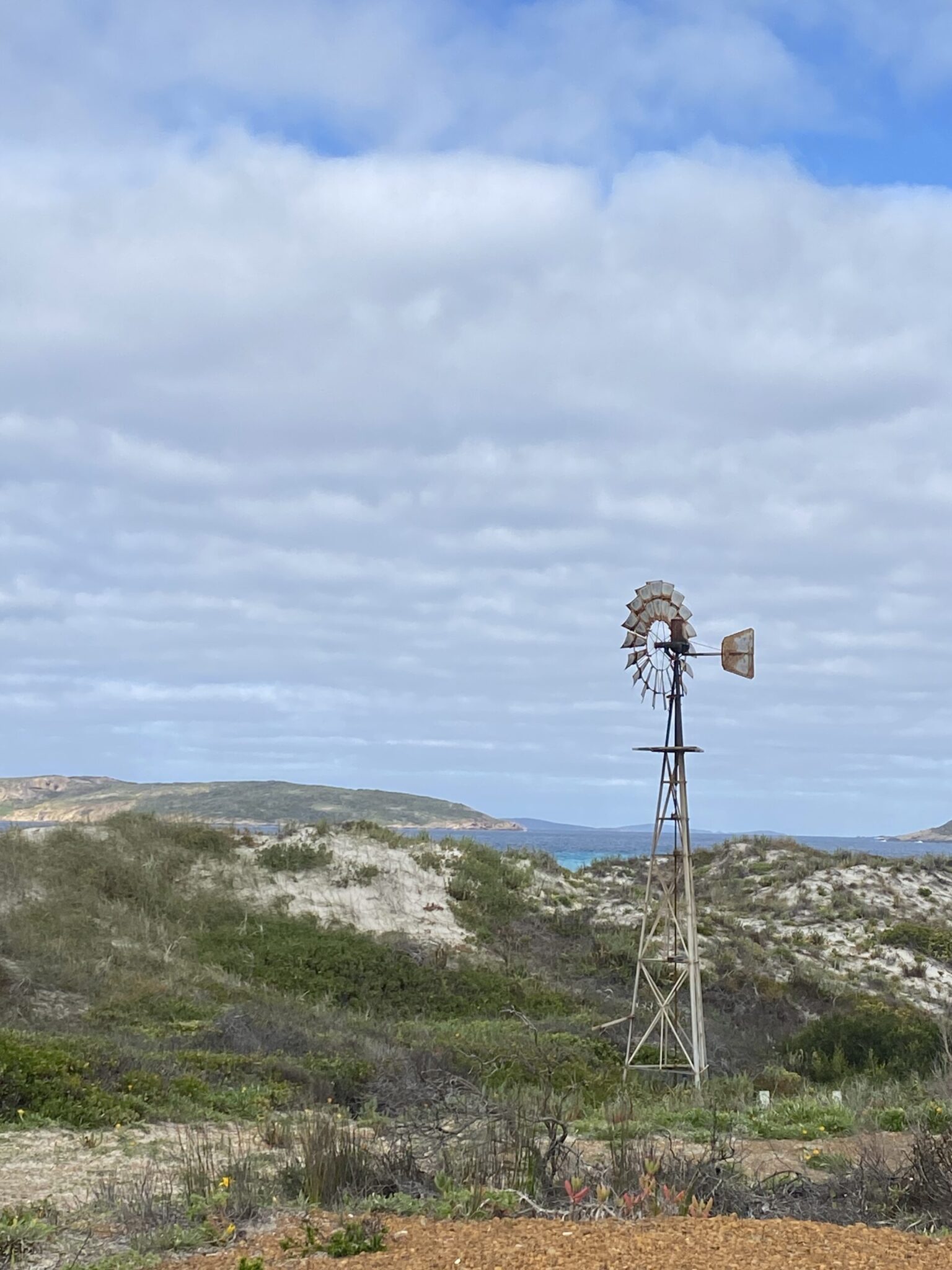 Windmills and Nests: Training Our Senses on the Road - Educated by Nature